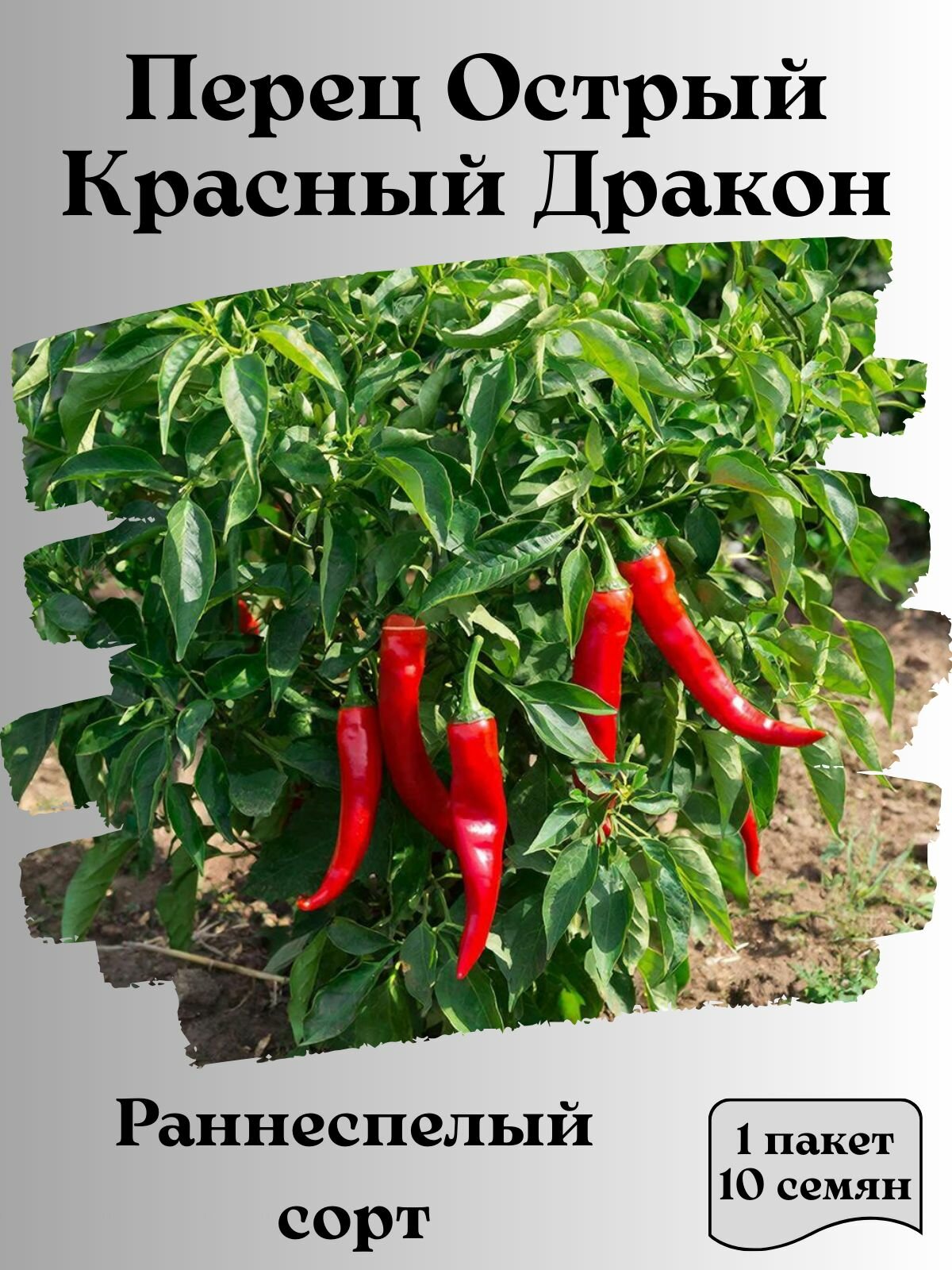Перец Острый Красный Дракон, семена, 10 шт, 15 гр.