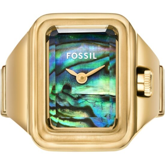  FOSSIL