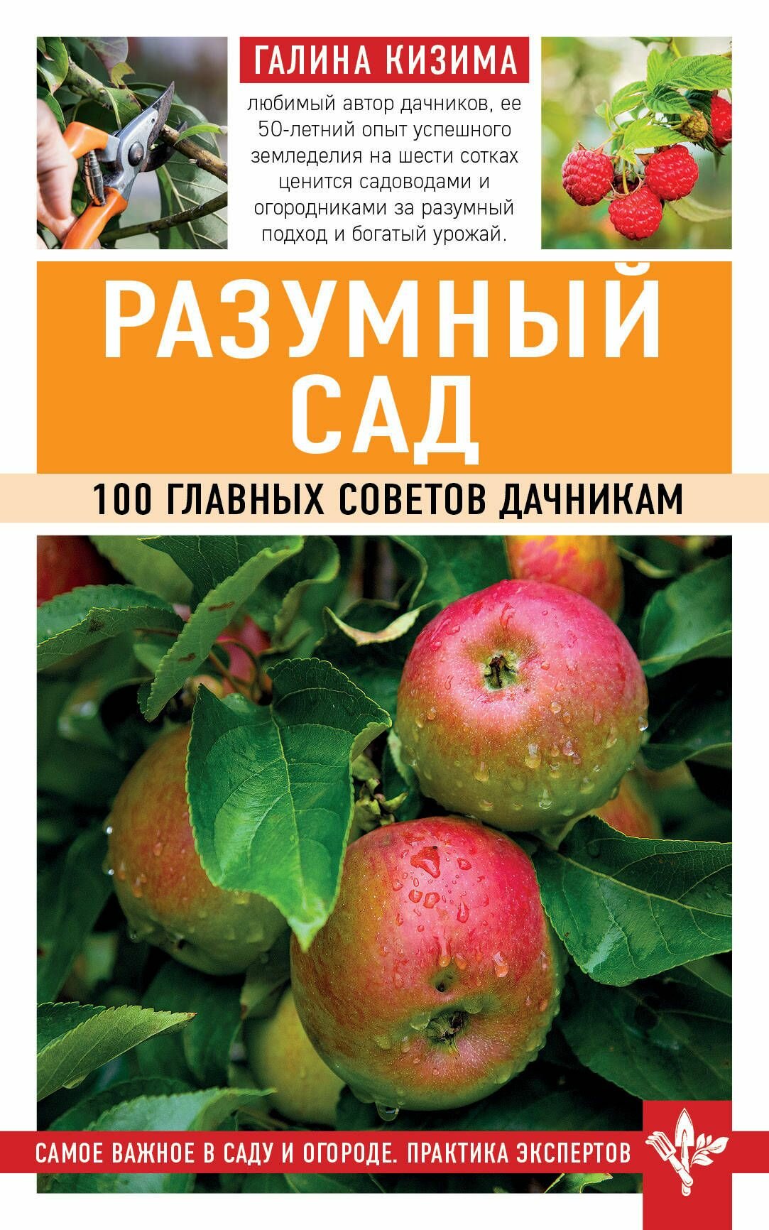 Кизима Г. А. Разумный сад. 100 главных советов дачникам