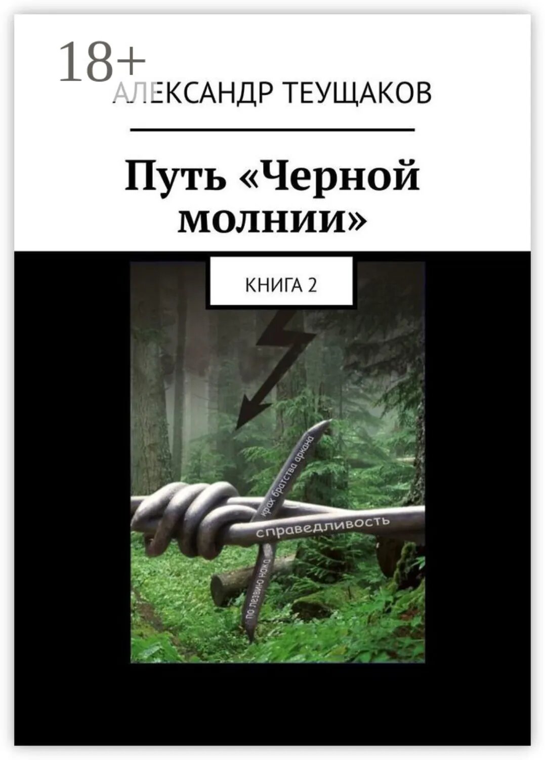 Путь «Черной молнии». Книга 2 [Цифровая книга]