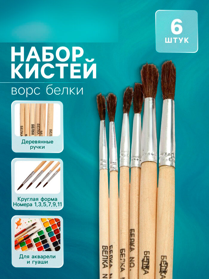 Набор кистей для рисования, белка, 6 штук: № 1, 3, 5, 7, 9, 11, круглые, деревянная ручка, международный размер