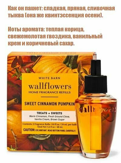 Bath and Body Works Рефилл, Ароматическая жидкость Sweet Cinnamon Pumpkin (2шт.)