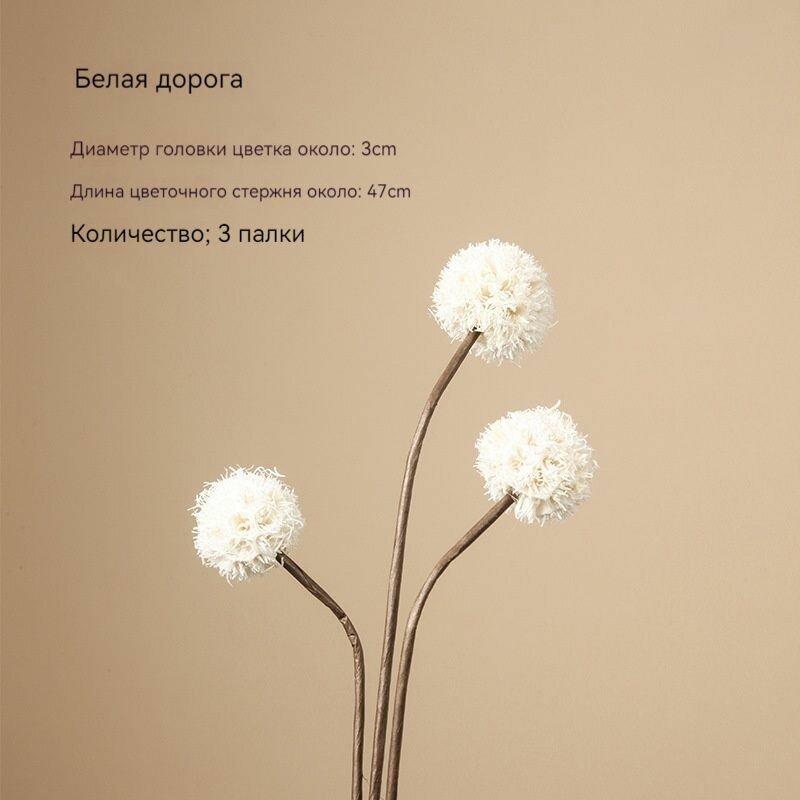 Сухоцветы