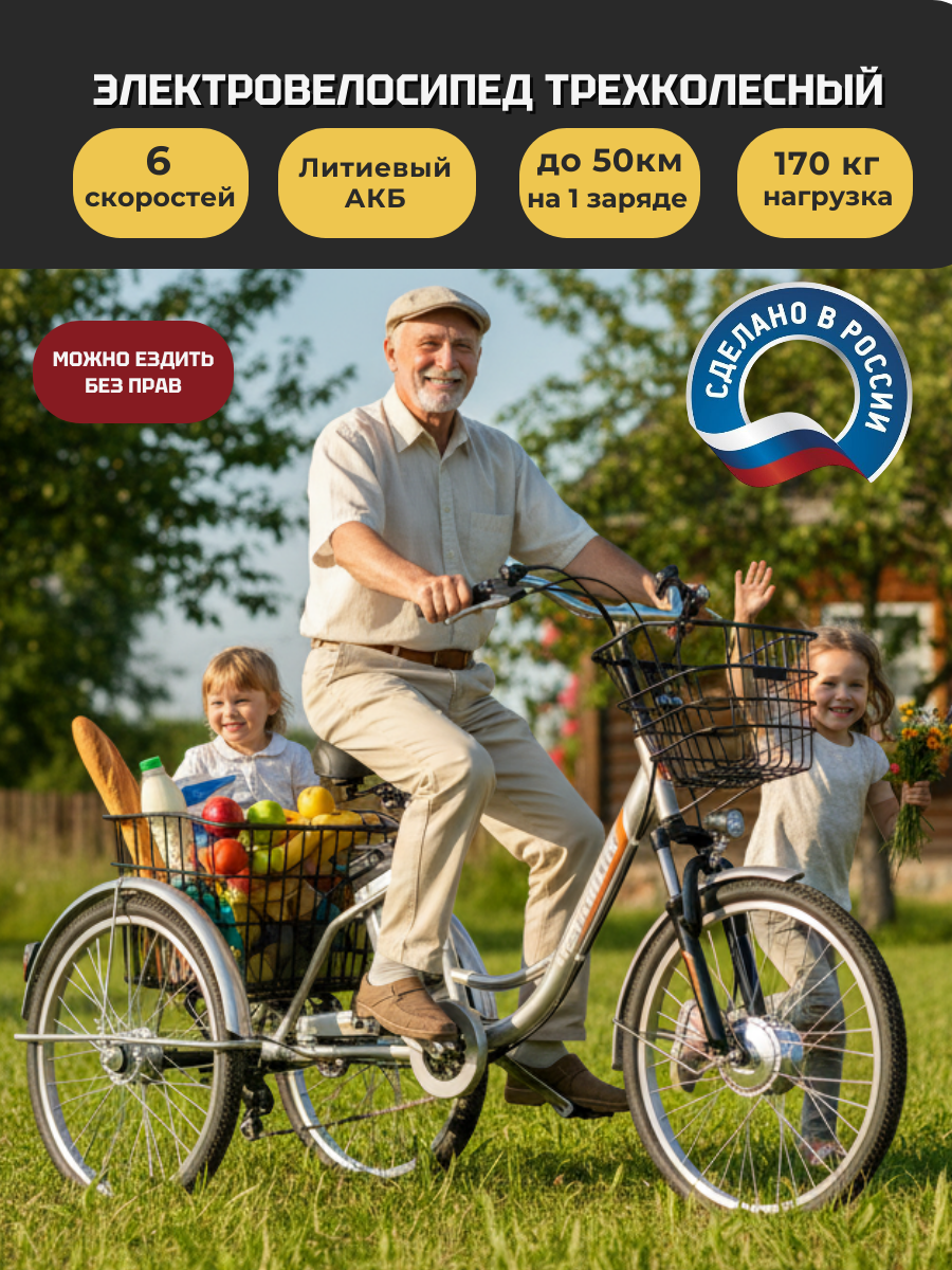 Электровелосипед трехколесный взрослый серебро РВЗ "Чемпион" 250 вт,10 А, 6 скоростей