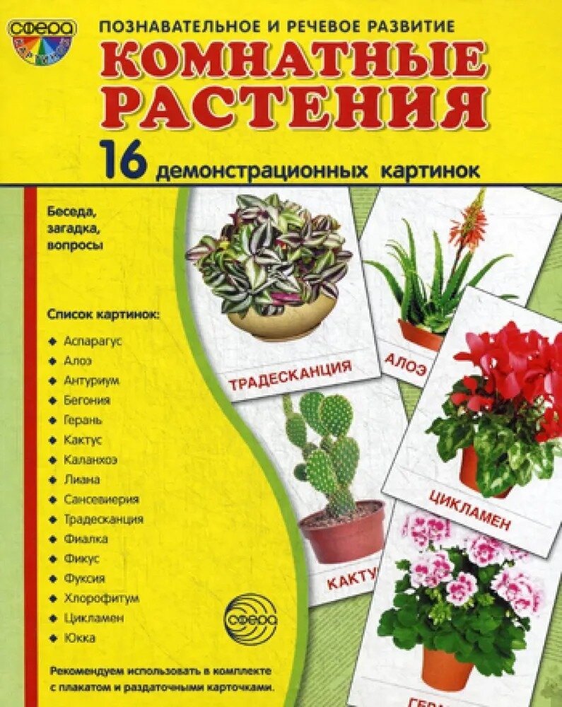 Демо картинки Комнатные растения 16 шт Познавательное и речевое развитие 1563/978-5-9949-1156-3 с 4