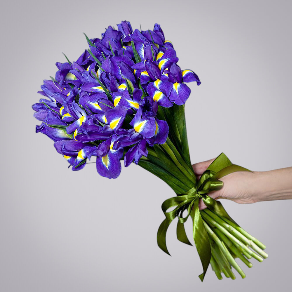 Монобукет из 25 синих Ирисов