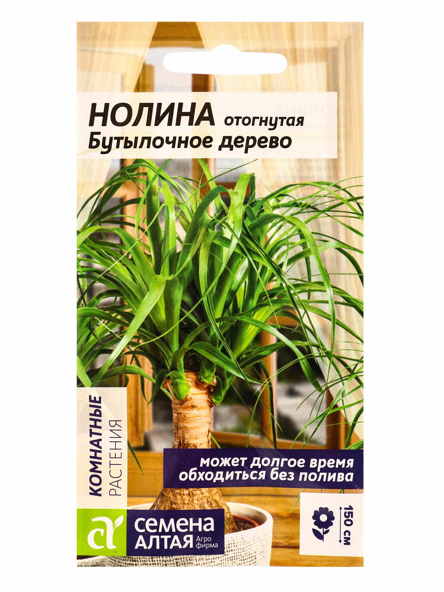 Семена комнатных цветов нолина "Бутылочное дерево", 3 шт, вегетация: многолетники