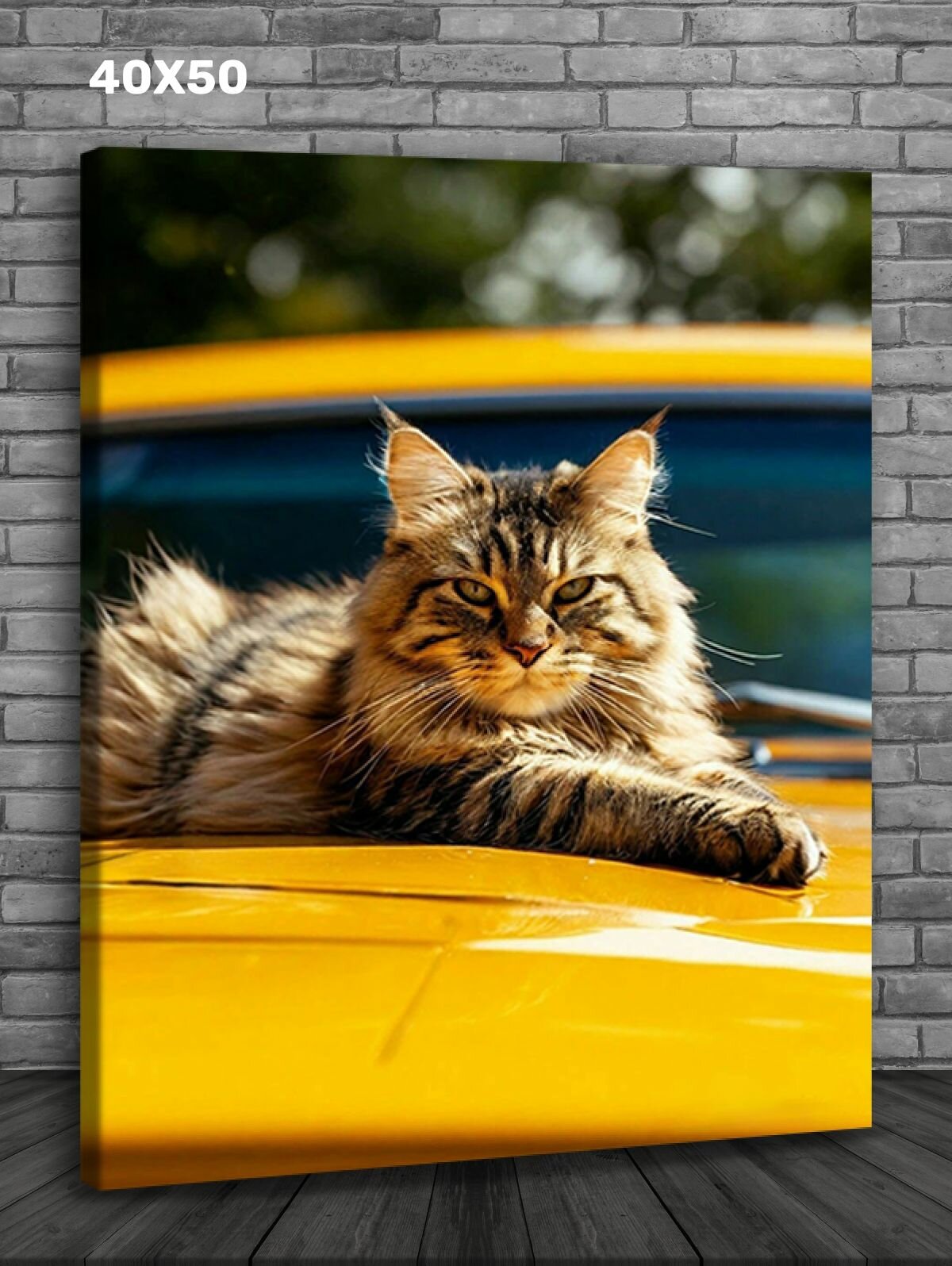 Картина на стену интерьерная 40х50 Кот