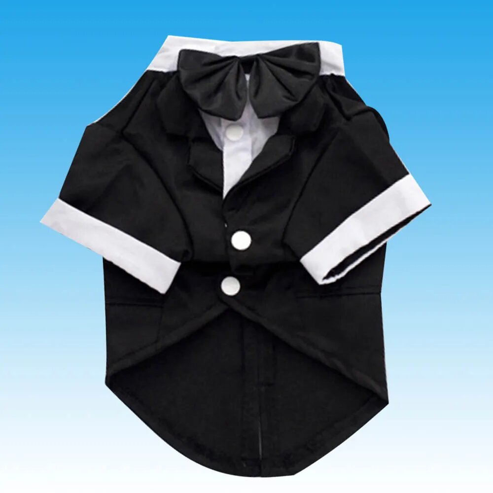 Собачий смокинг с бабочкой черного цвета для праздничных и официальных мероприятий