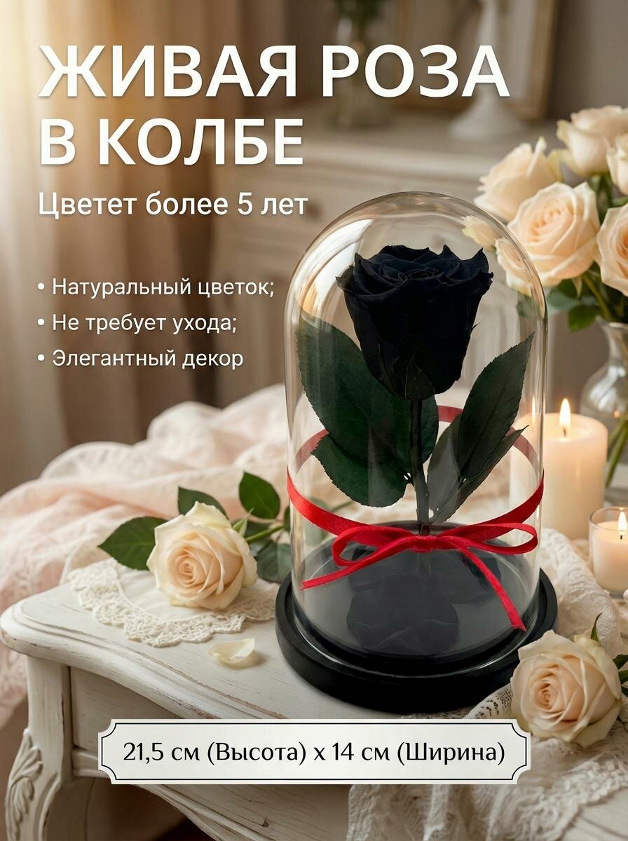 Стабилизированные цветы в стекле, Роза в колбе живая Glamur черный , GIFT4YOU