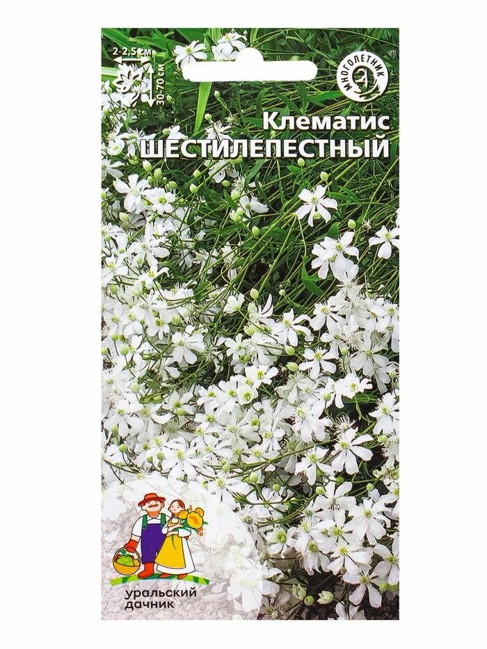 Семена Цветы Клематис Шестилепеcтный (УД) Е/П , Е/П, 10 шт.