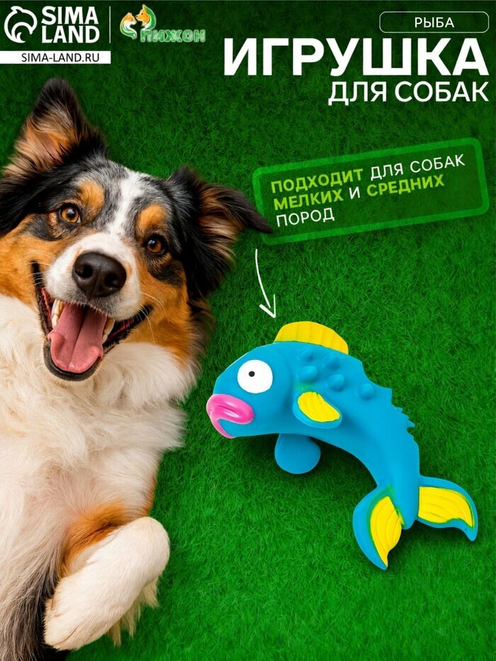Пижон Пищащая игрушка для собак «Рыба», 20 см