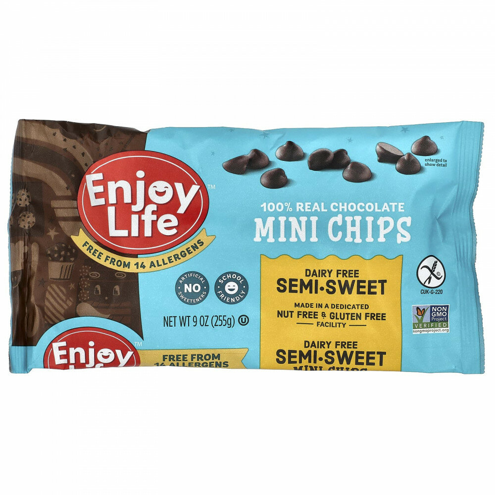 Enjoy Life Foods, мини-чипсы, 100% настоящий шоколад, полусладкий, 255 г (9 унций)