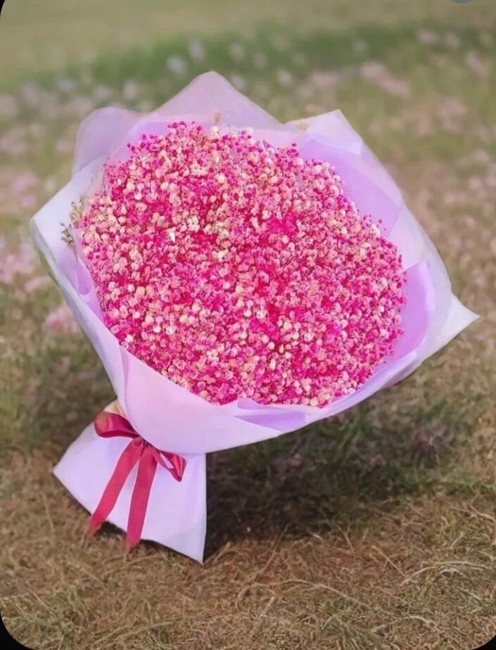 Букет гипсофилы стабилизированный "Розовая дымка", 25 см