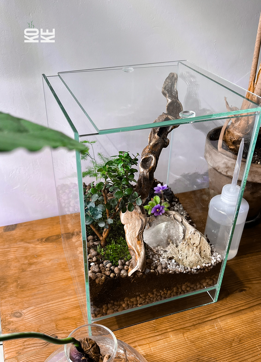 Флорариум XL "Дерево"/ закрытая экосистема коке/декор, многолетнее растение/Ручная работа/подарок