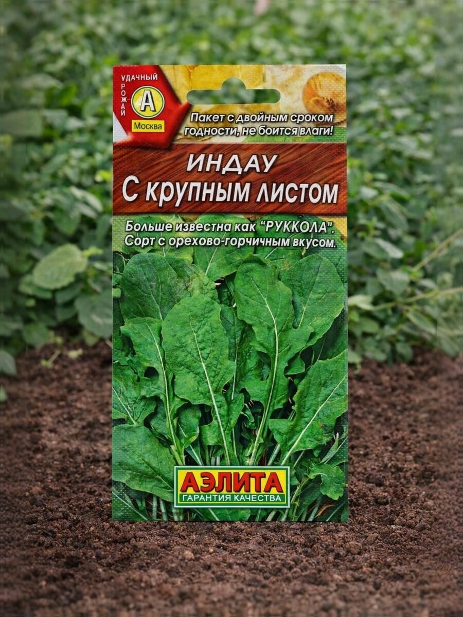 Семена индау (рукола) с крупным листом, зелень для салатов, пряная трава для сада и огорода