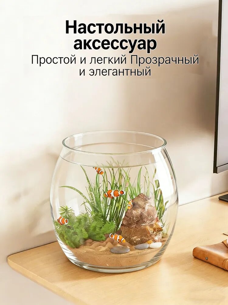 Экокубок акрилловый круглый, имитация стекла, мини аквариум для декора стола