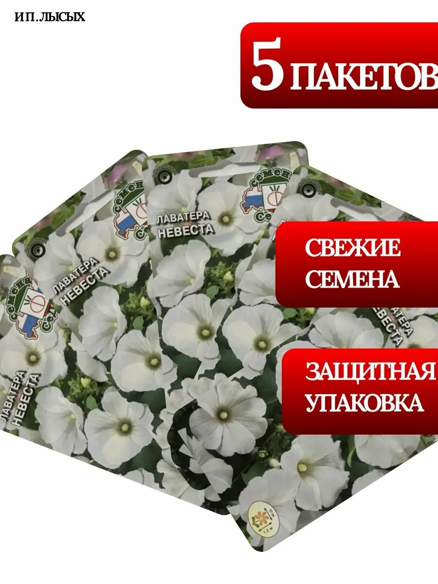 Семена Лаватера "Невеста"