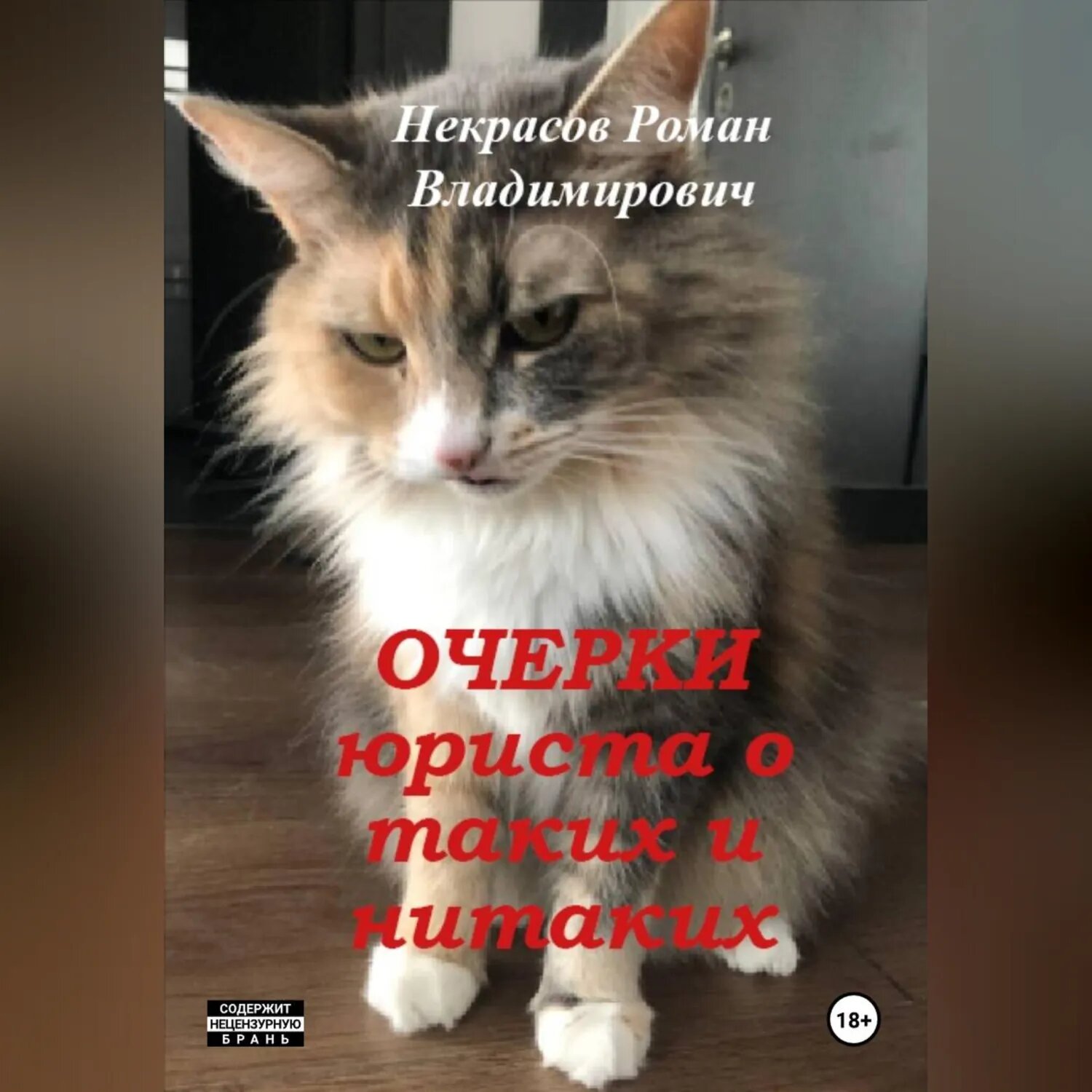 Очерки юриста о таких и нитаких [Аудиокнига]