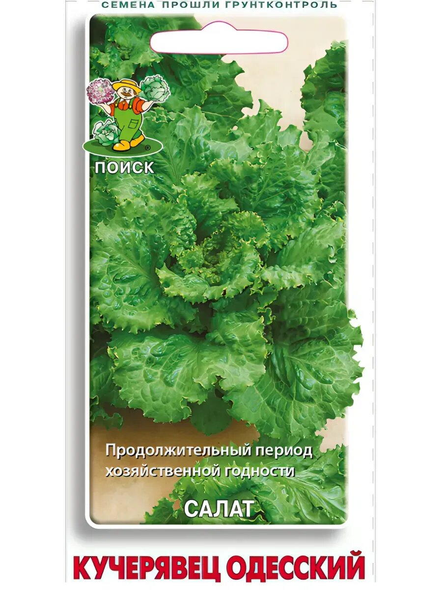 Семена Салат «Кучерявец Одесский»
