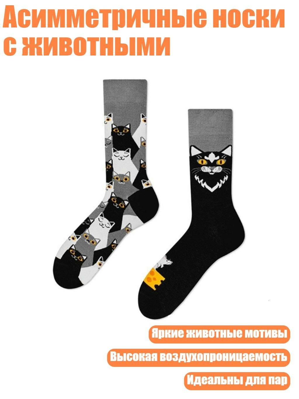 Асимметричные носки с животными, черная кошка
