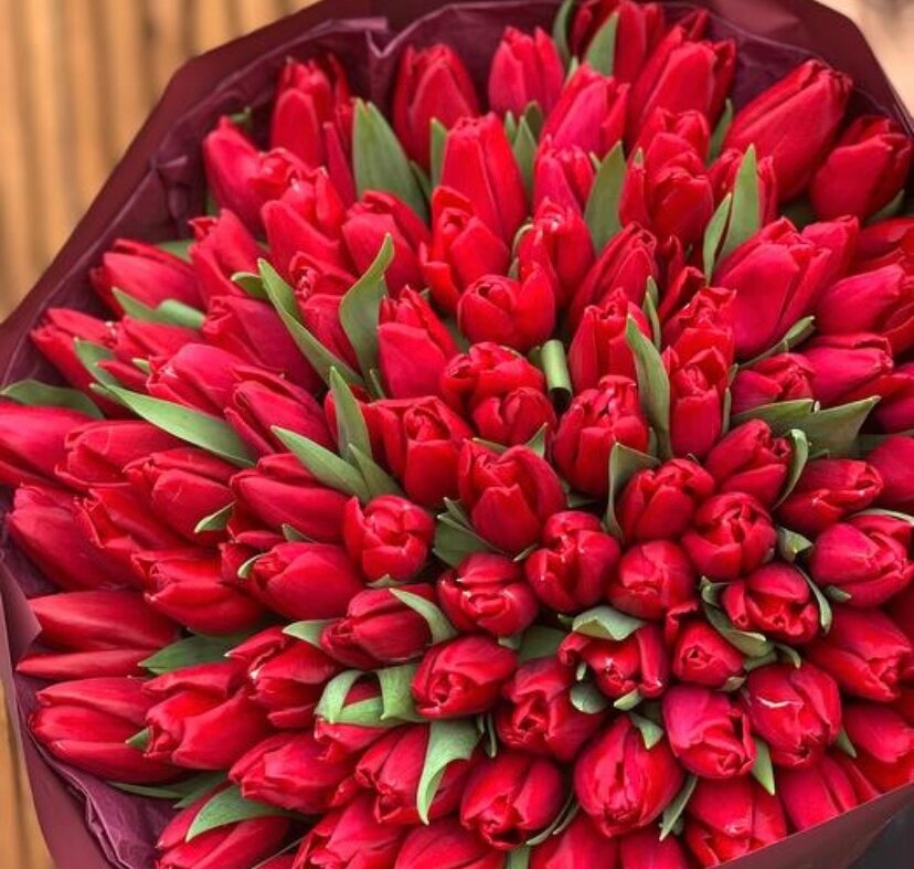 Букет живых цветов "Красные тюльпаны" NURA FLOWERS, 101 цветок, высота 40 см