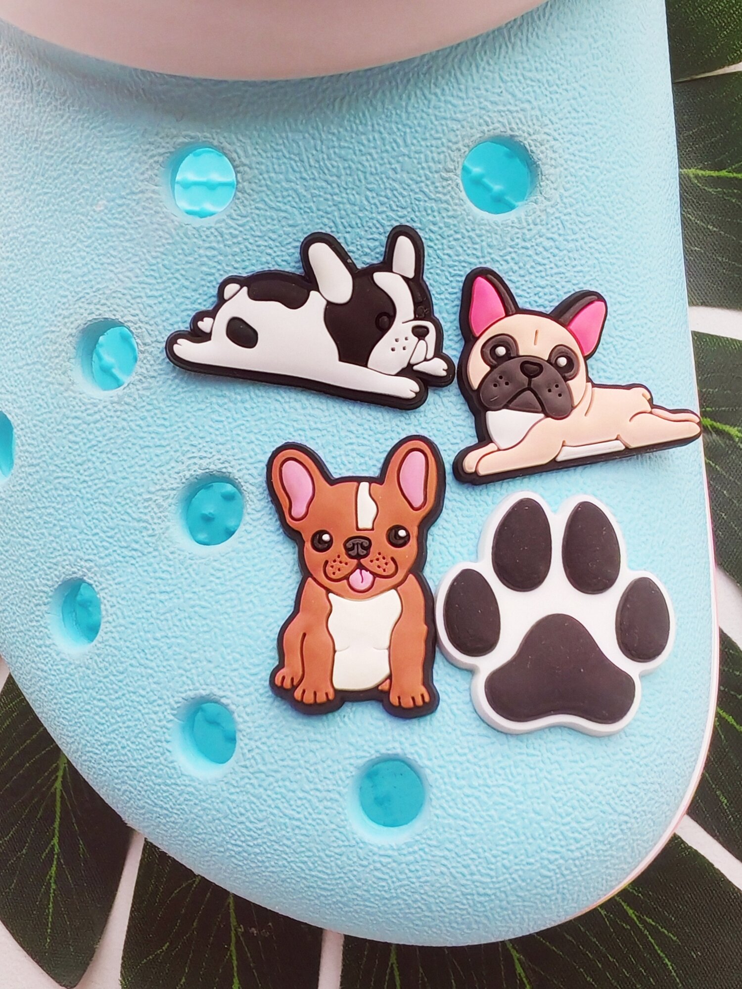 Джибитс на crocs собака французский бульдог