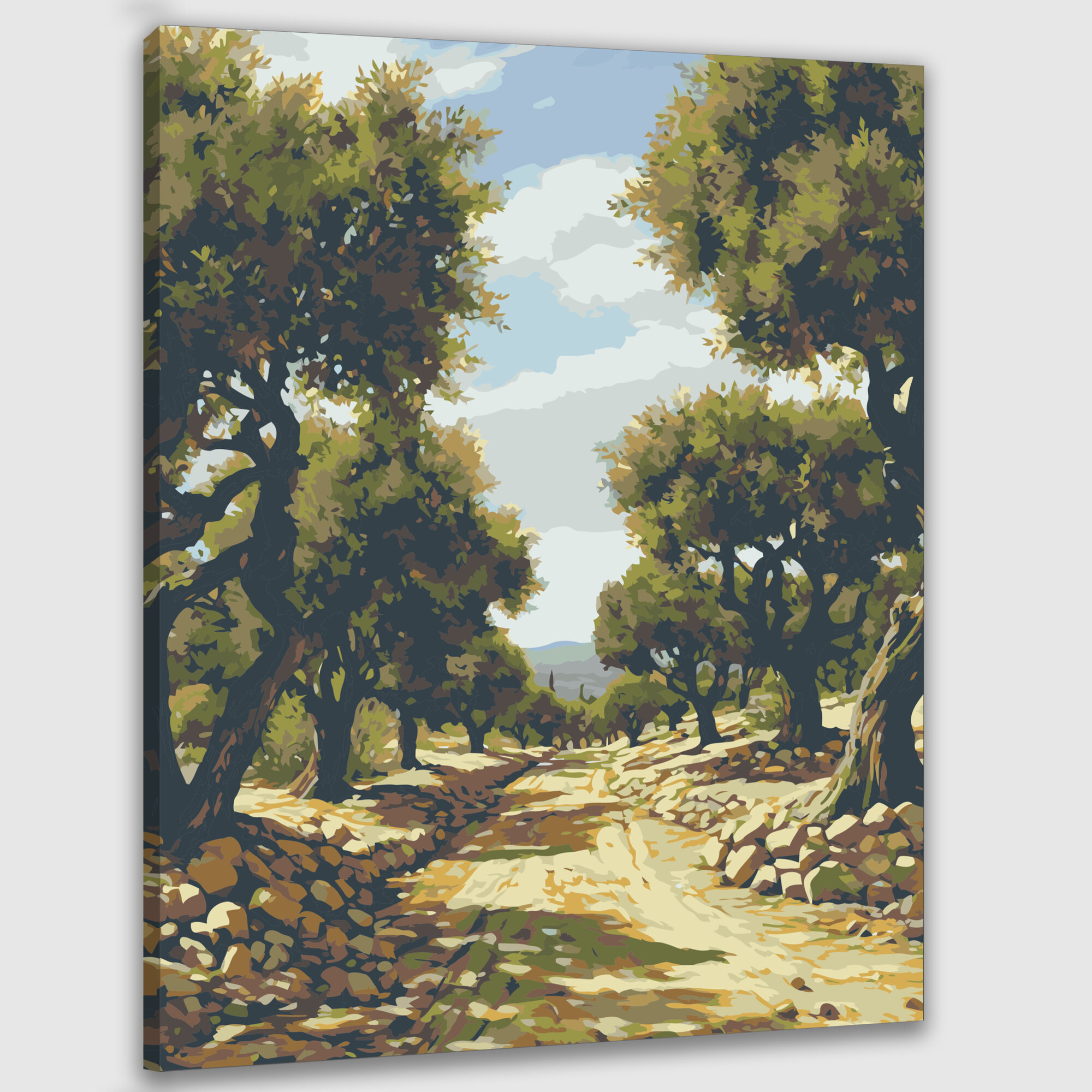 Картина по номерам 40x50 см, картина, масло, оливковая роща, деревья, горизонт, листья, свет, тени, краски, небо, почва