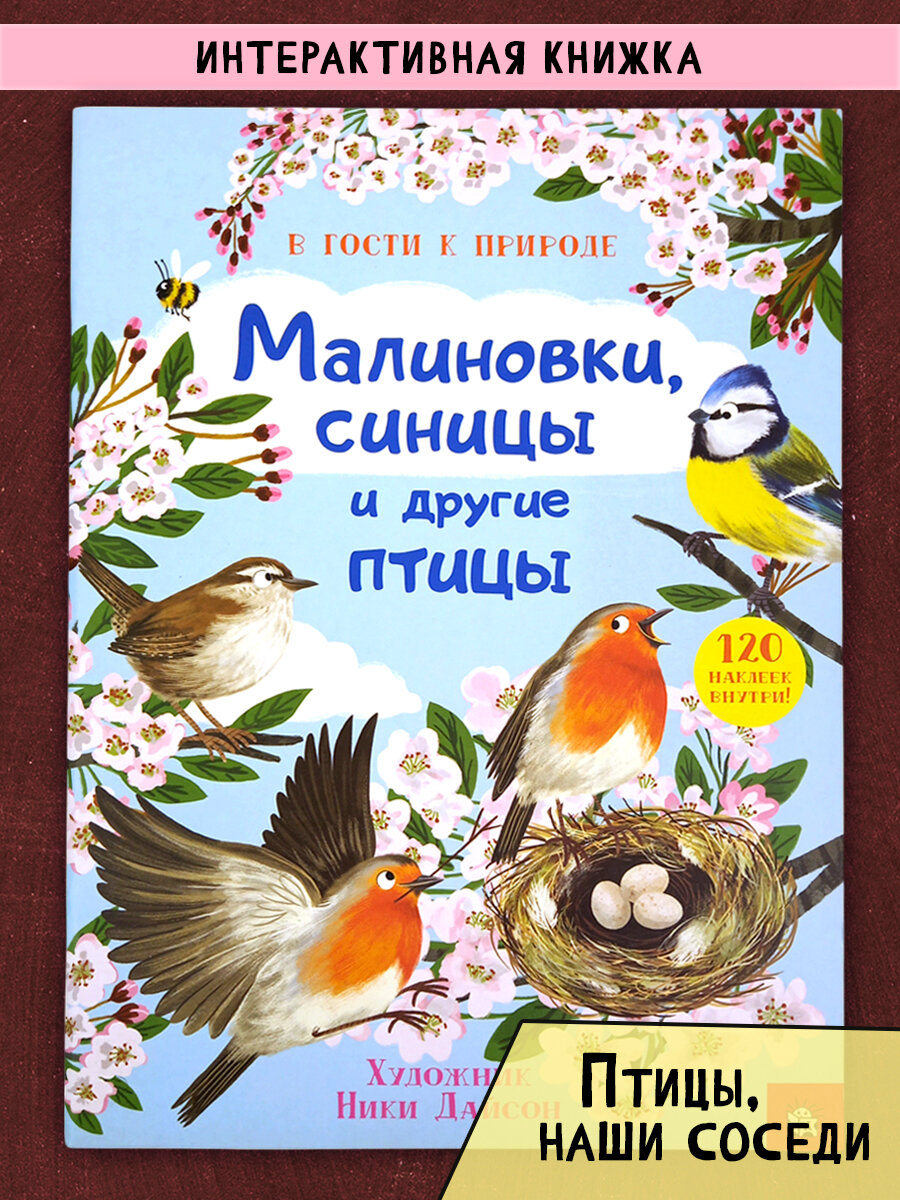 Малиновки, синицы и другие птицы