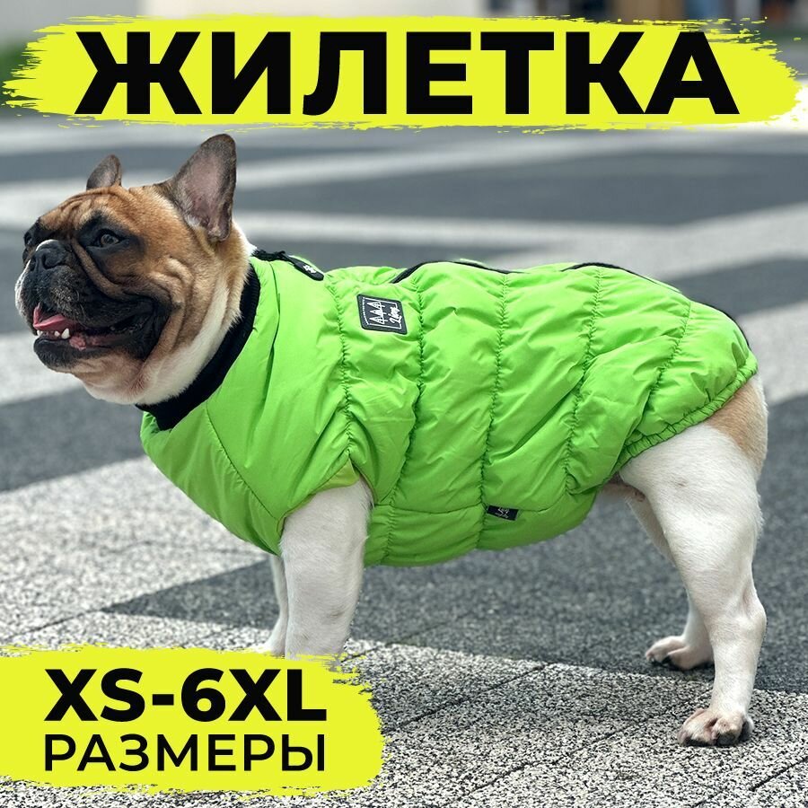 Одежда для животных