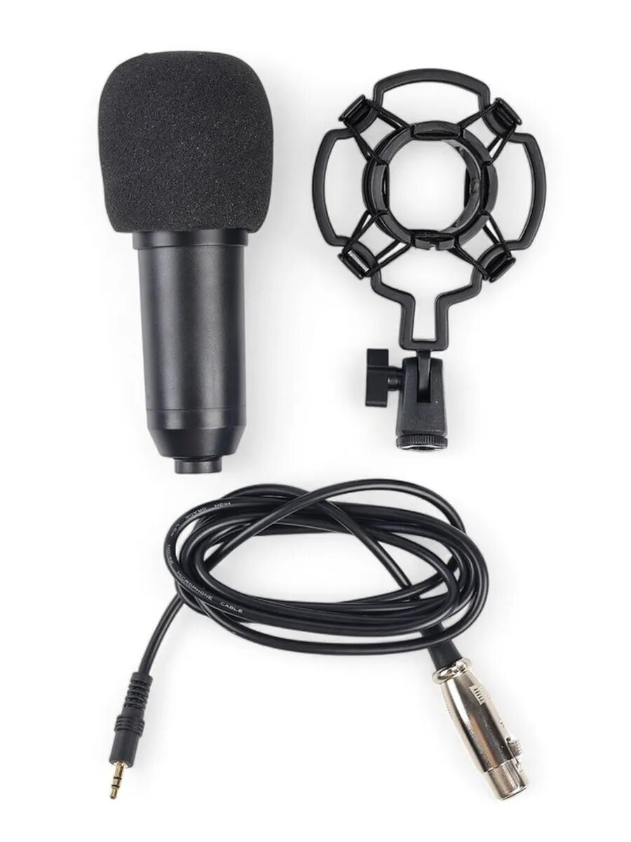 Профессиональный студийный микрофон с аксессуарами