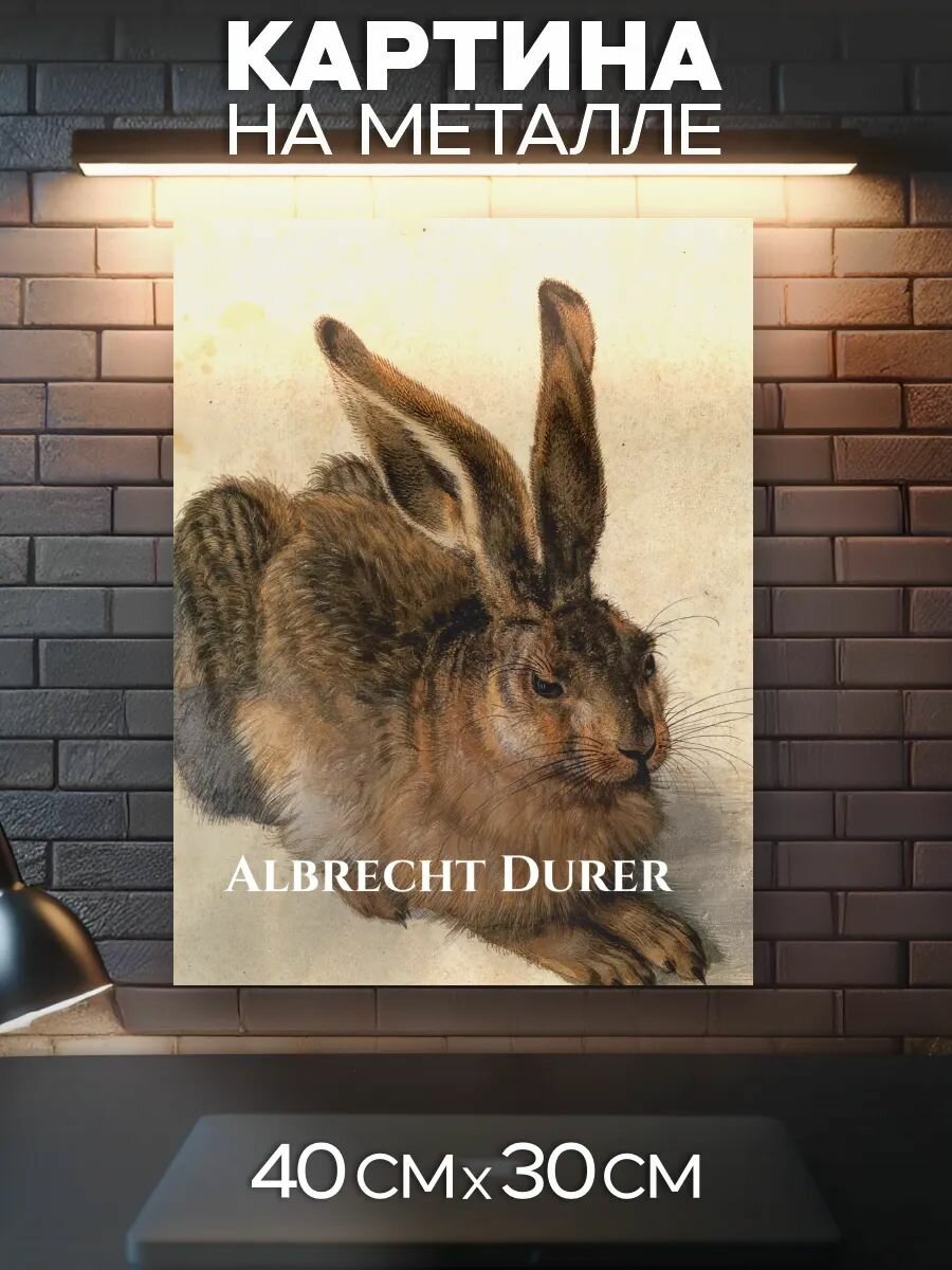 Картина на стену Albrecht Durer-Альбрехт Дюрер