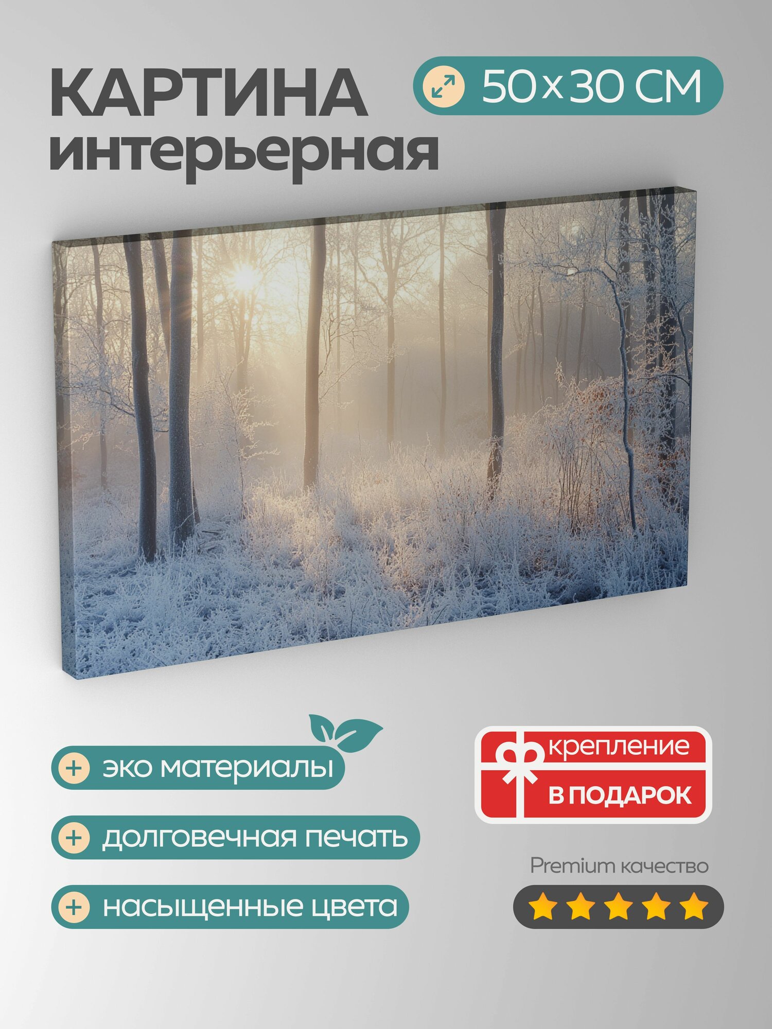 Картина на холсте интерьерная 50х30 см, Лес, иней, рассвет, кристаллы льда, ветви, свет, утро, сказочное сияние, Canon
