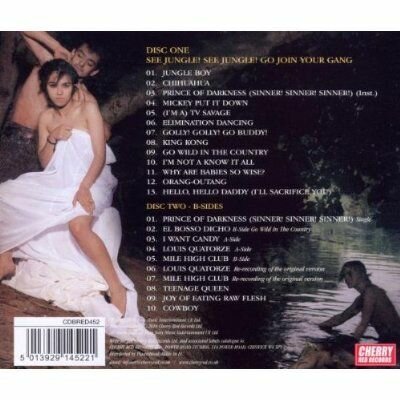 Диск Bow Wow Wow See Jungle! See Jungle! Go Join Your Gang / B-Sides (2 CD) — фото 1
