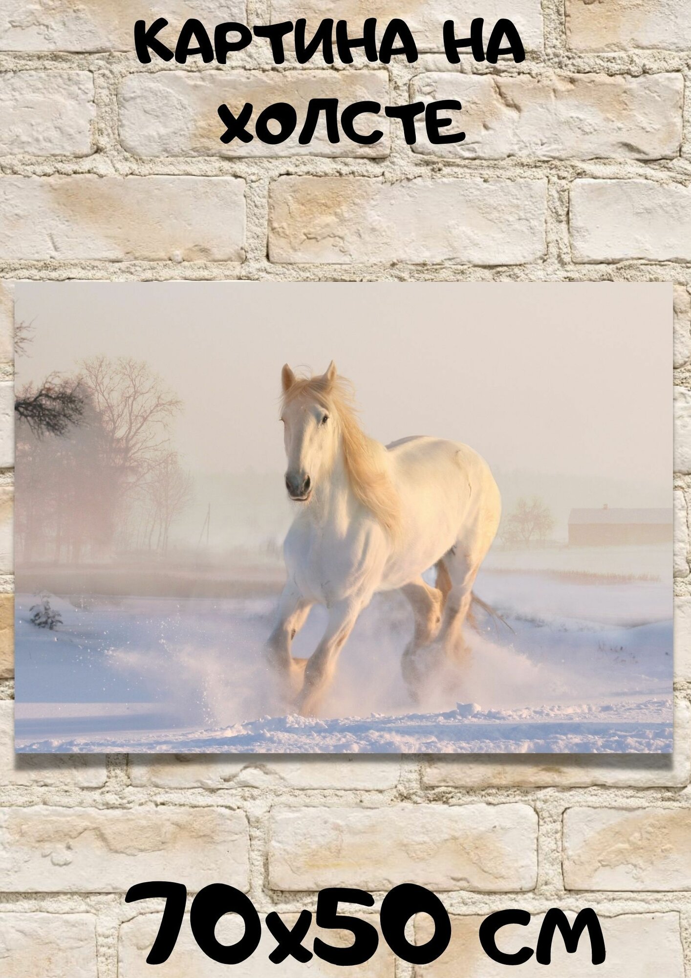 Картина со снегом и Зимой / Белая лошадь мчится по снегу