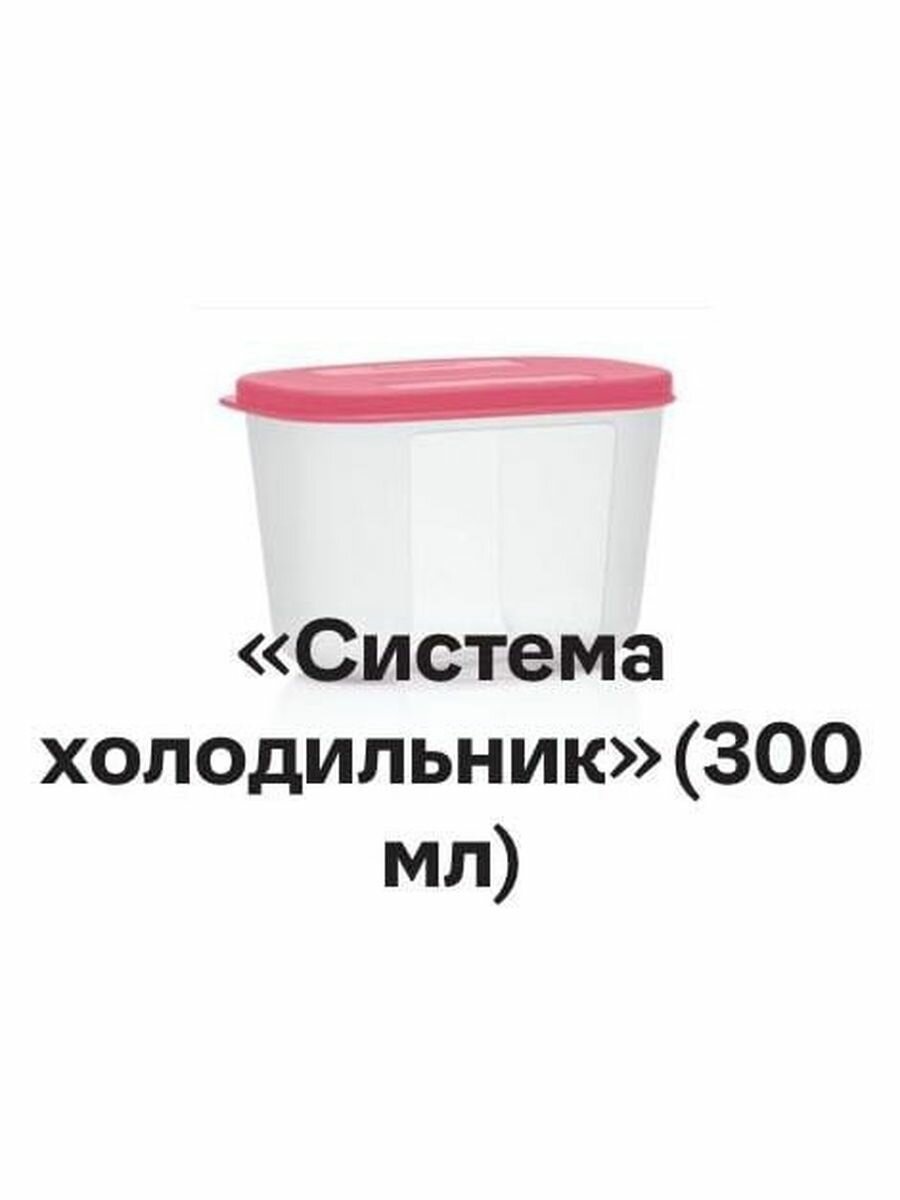 Контейнер "Система холодильник" ( 300мл ) 1 шт, Tupperware