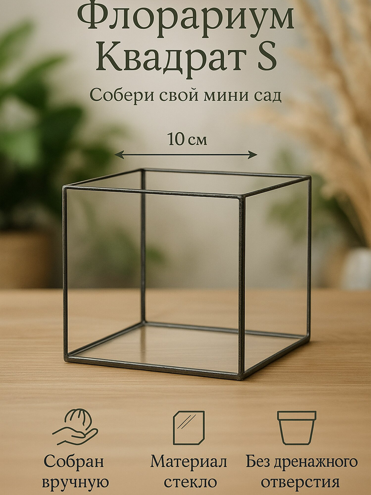 Флорариум, стеклянная ваза Квадрат S (small, маленький) 10*10 см