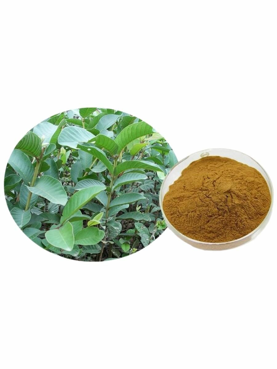 Экстракт листьев гуавы 20: 1 порошок, Guava Leaf Extract 250 г