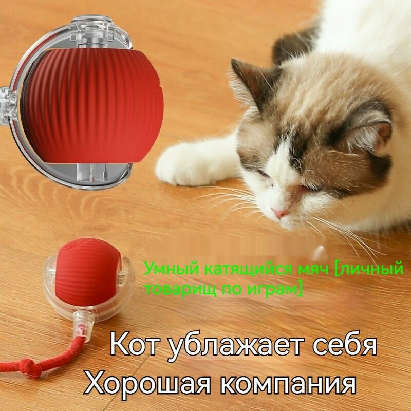 Игрушка для кошек, интерактивная, умная дразнилка , Неуловимый мячик
