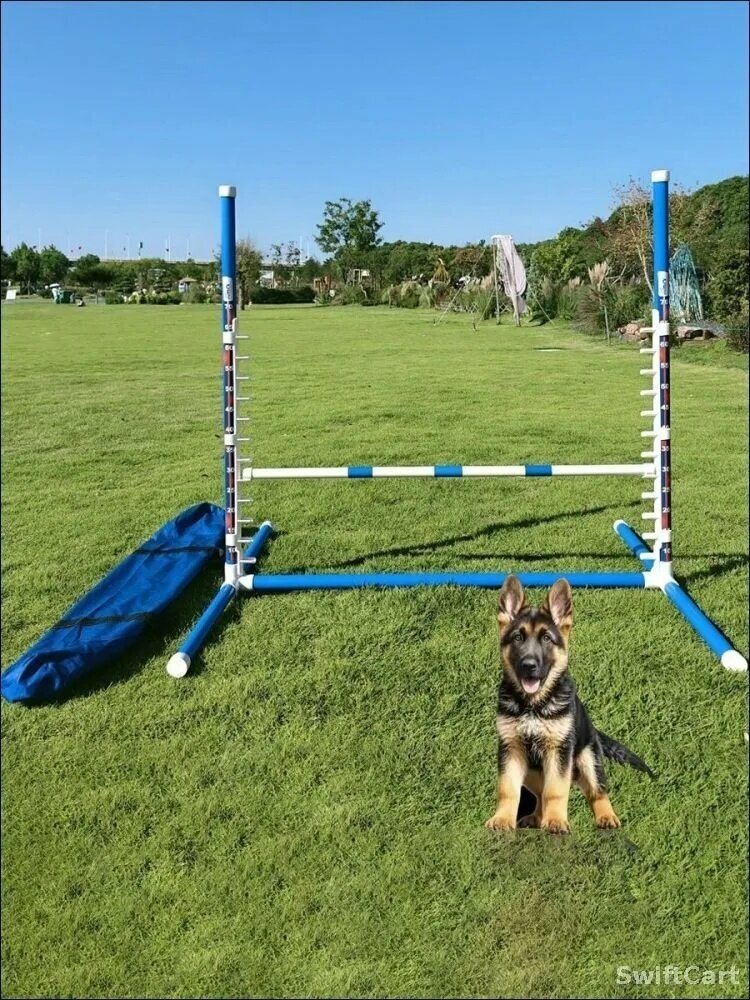 Эксклюзивный комплект препятствий для собачьего аджилити