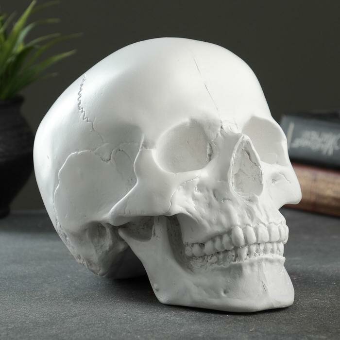 Копилка Хорошие сувениры для денег "Череп", полистоун, белый, 16х13х22 см