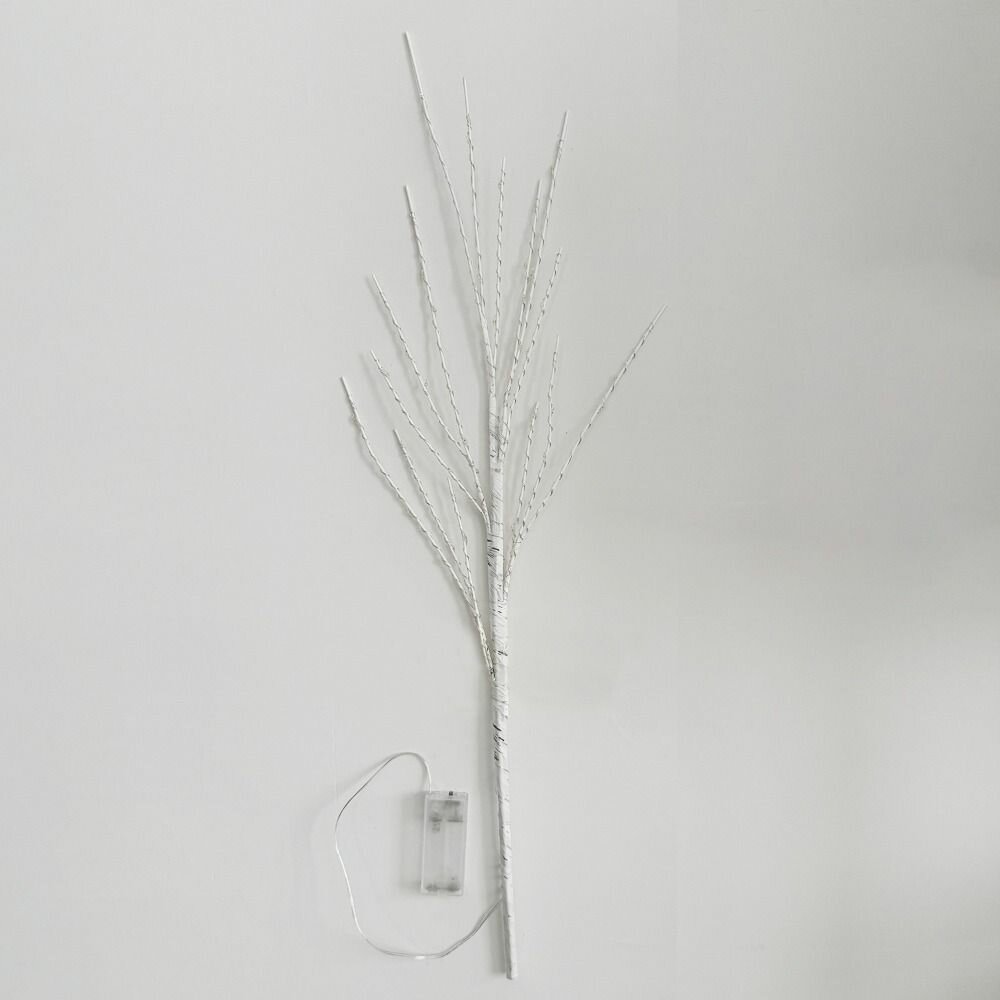 Ветвь белой березы Светлая