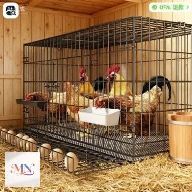 Эксклюзивная клетка с яйцесборником для птицы