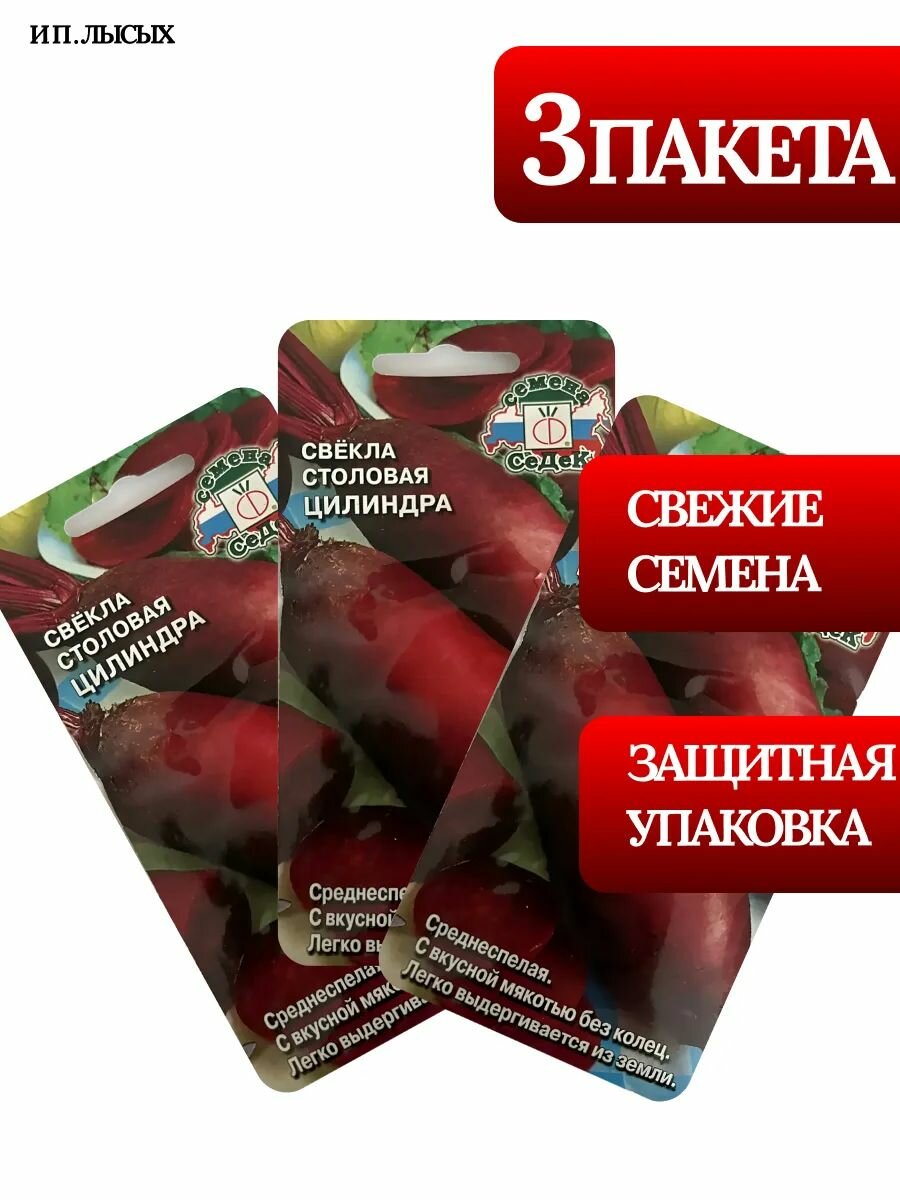 Семена Свекла "Цилиндра"