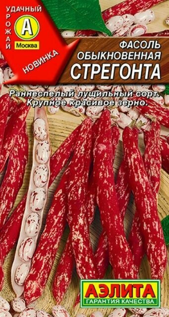 Семена Фасоль обыкновенная "Стрегонта" кустовая "Аэлита"