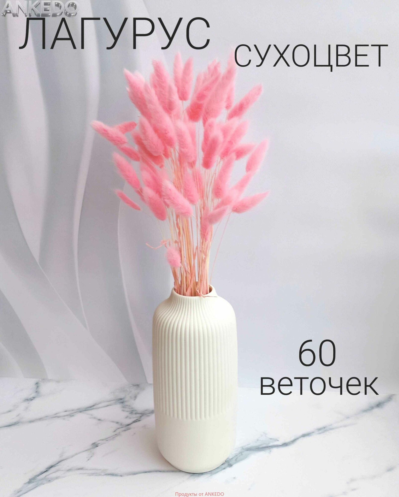 Эксклюзивные стабилизированные растения