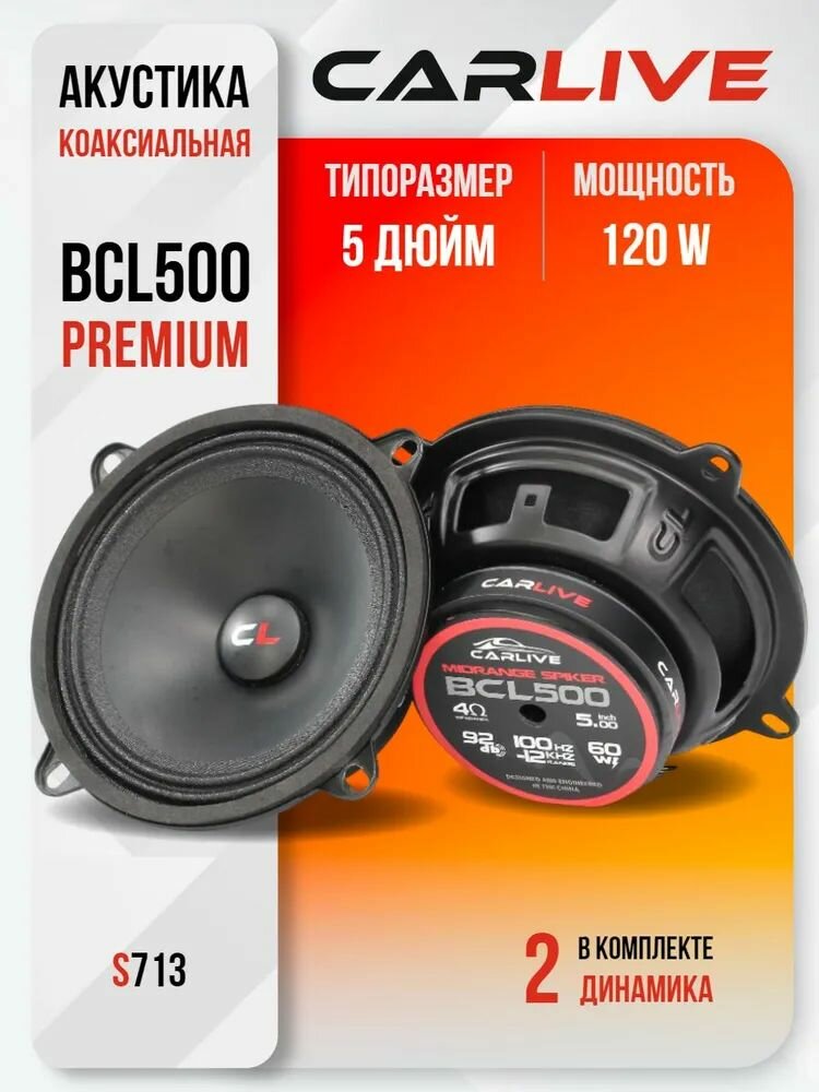 Эстрадная акустика Carlive BCL500 Premium 13sm (5)"