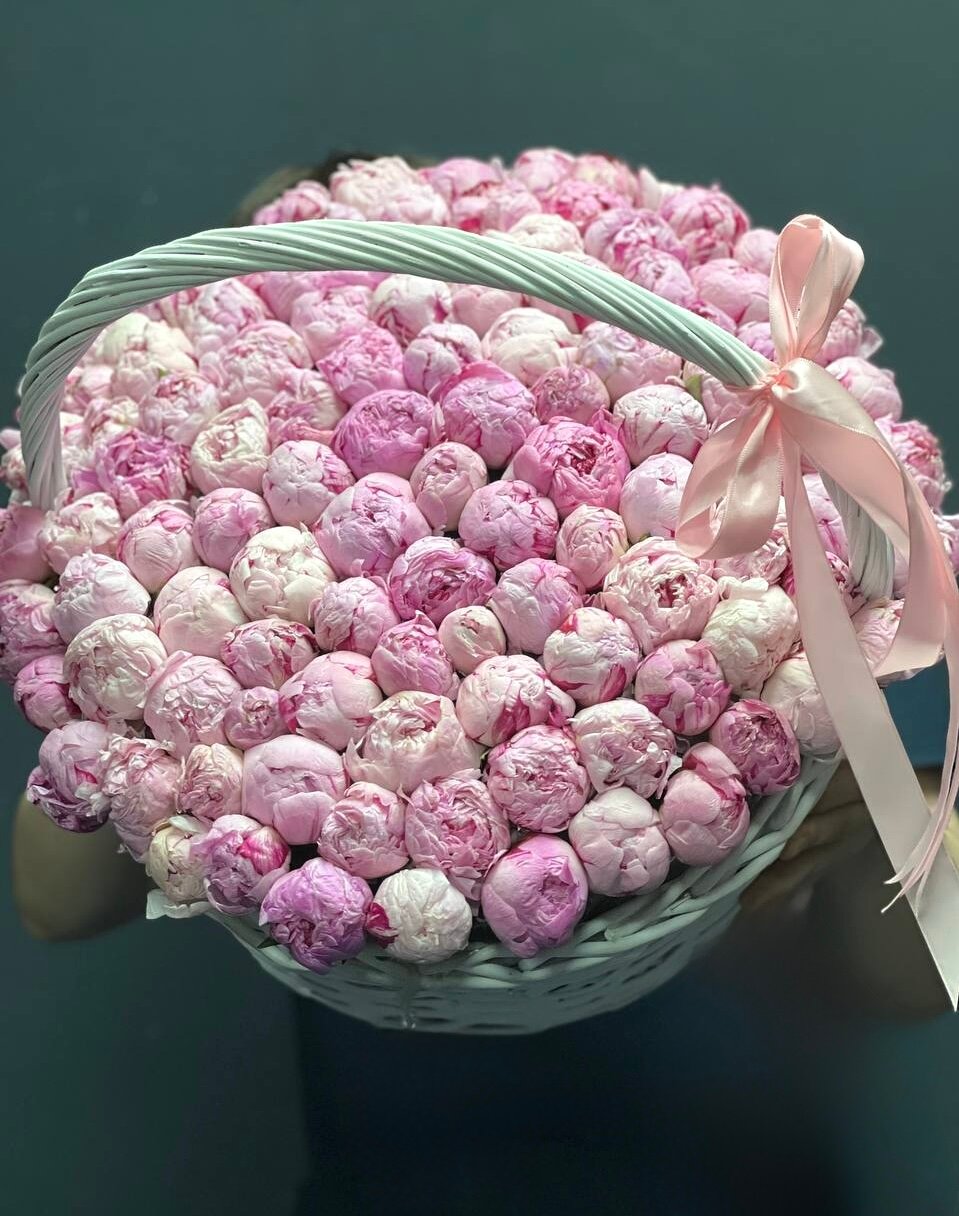 Шикарная корзина из 101 розового пиона, пионы, букет из пионов