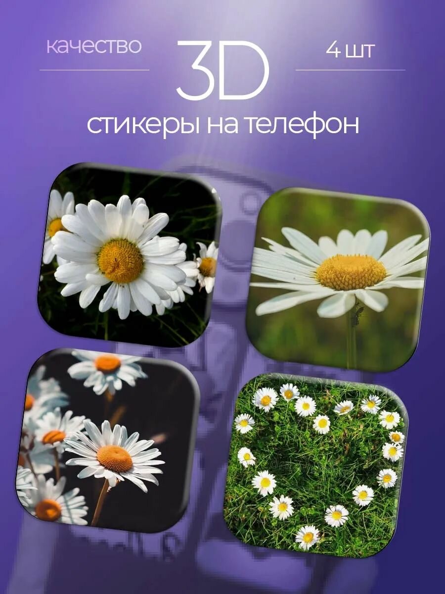 3D стикеры на телефон ромашки