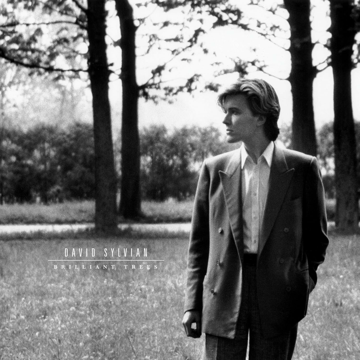 Виниловая пластинка David Sylvian. Brilliant Trees. Olive Opaque Black (LP)